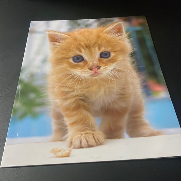 Office | Brand New Orange Cat Folder | Poshmark